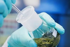 ¿Su producto biocida entra dentro del ámbito del Reglamento sobre ...