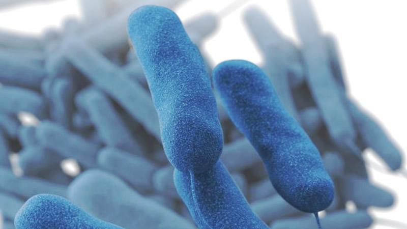 Detección de Legionella por PCR en contextos de alto riesgo