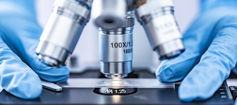 Microbiologia alimentaria: XX Workshop MRAMA